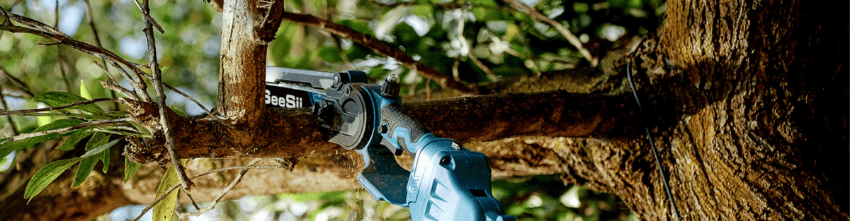 Best Way To Use Pole Saw To Trim Dead Branches — SeeSii
