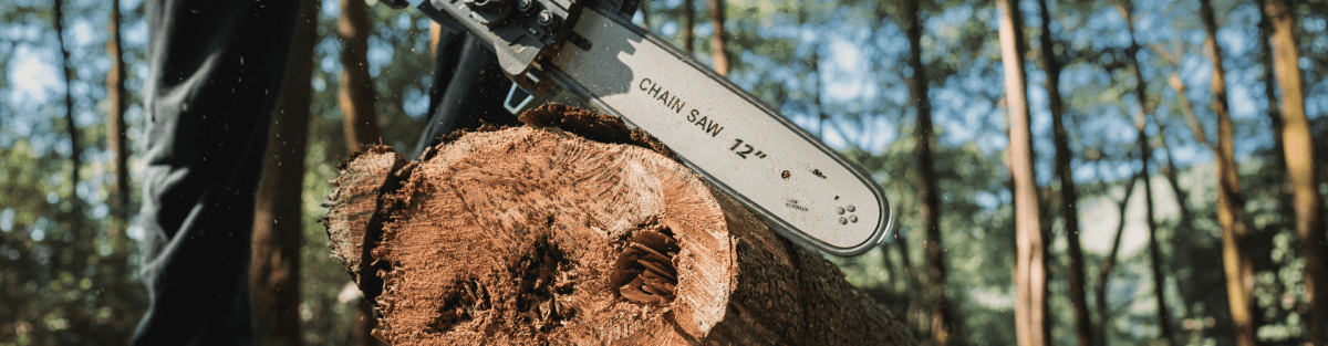 Top 10 Best Power Tool Brands You Won't Regret — SeeSii